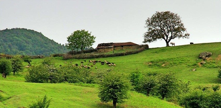 Iran Provinces - Mazandaran Province - اولدوز توریسم تور باکو، تور ...